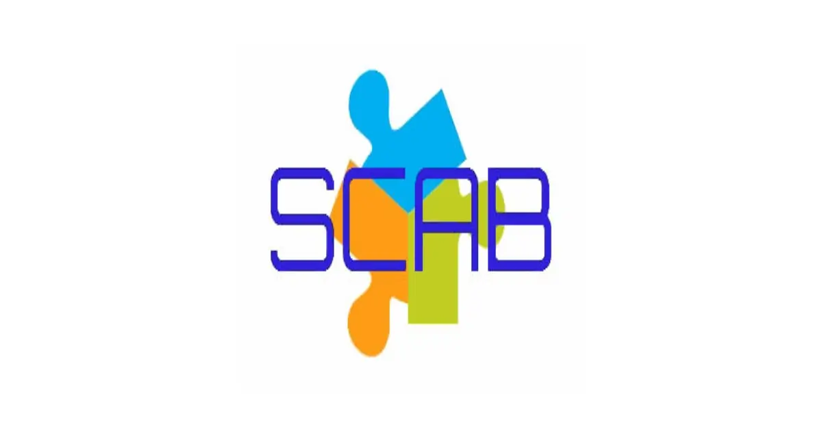 Mer än 30 års erfarenhet av IT-branschen | SCAB